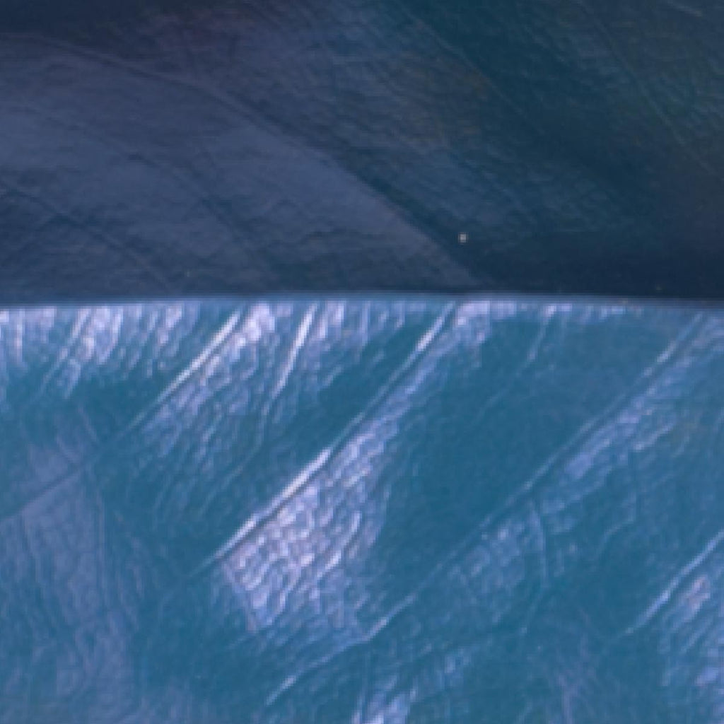 5131 Blue Flash – Dewberry U