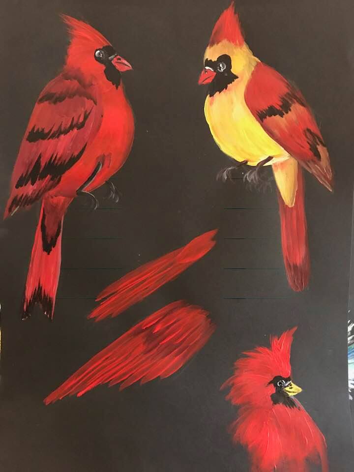 Stroke Study Lesson 3 - Birds Downloadable Video Lesson – Dewberry U