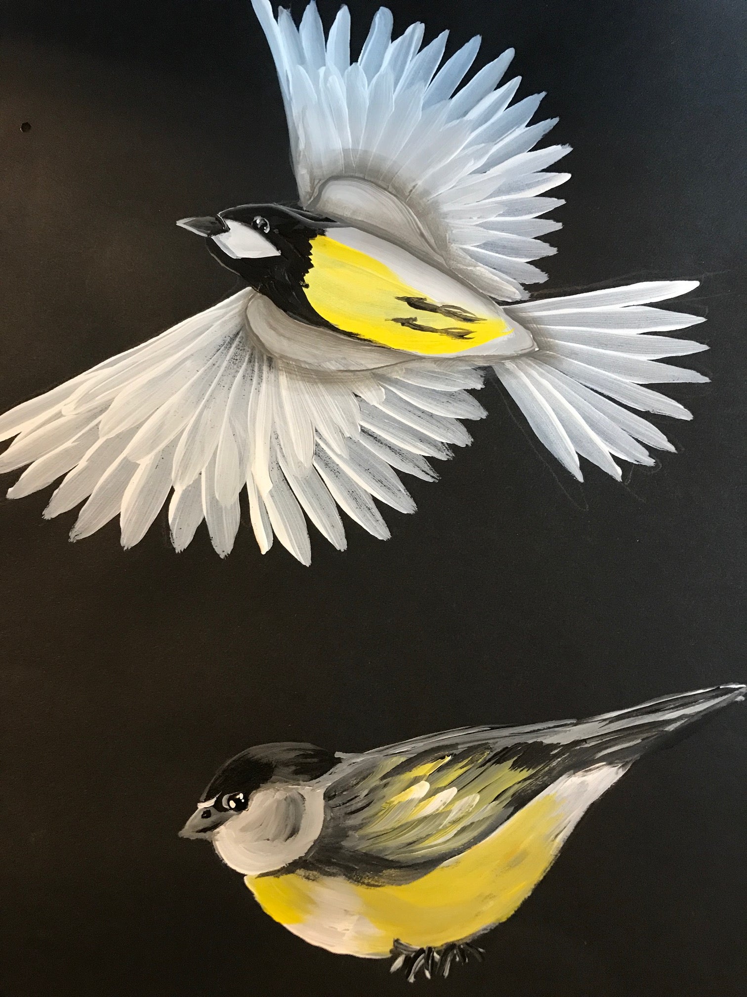 Stroke Study Lesson 3 - Birds Downloadable Video Lesson – Dewberry U