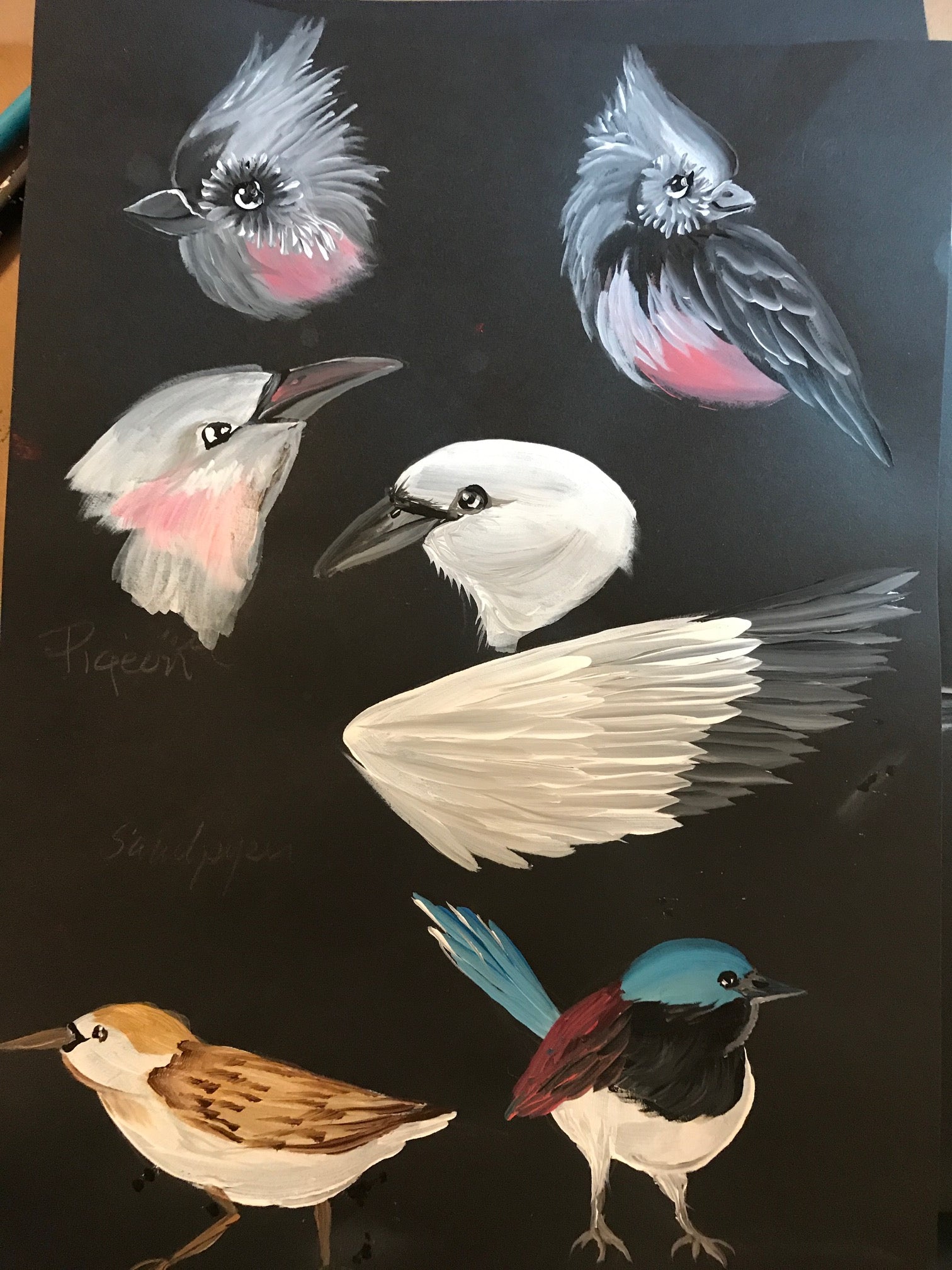 Stroke Study Lesson 3 - Birds Downloadable Video Lesson – Dewberry U