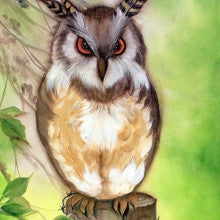 Owl Project Packet OWLPP – Dewberry U
